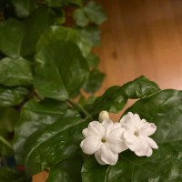 Unjinxing – Special Mom’s blog