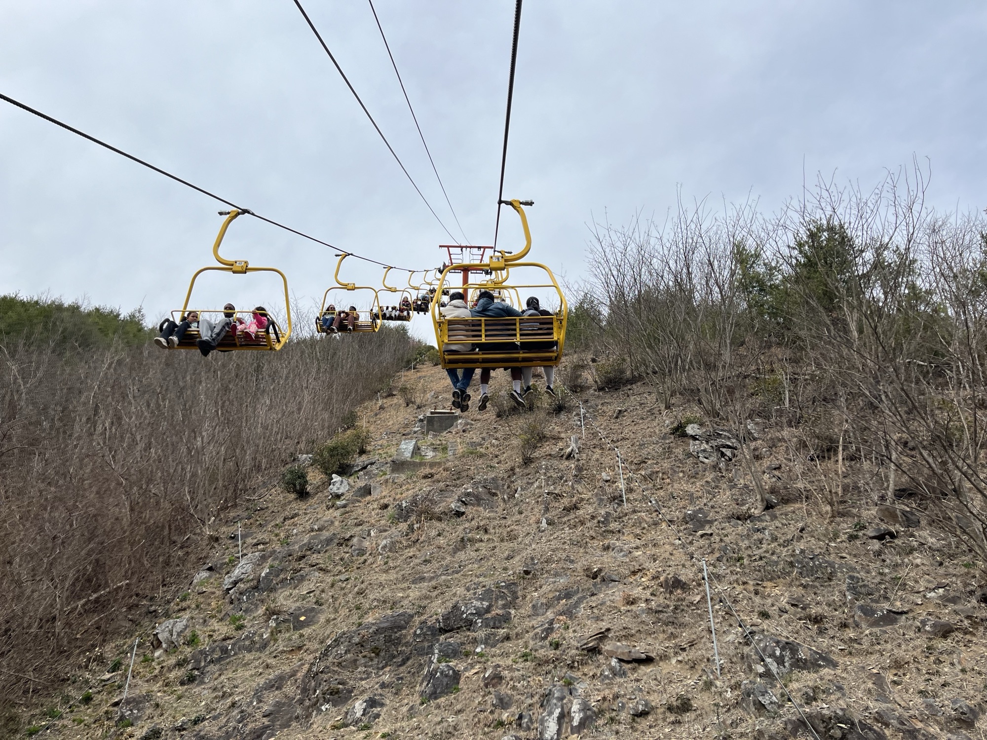 Skybridge and Skywalk – Special Mom’s blog