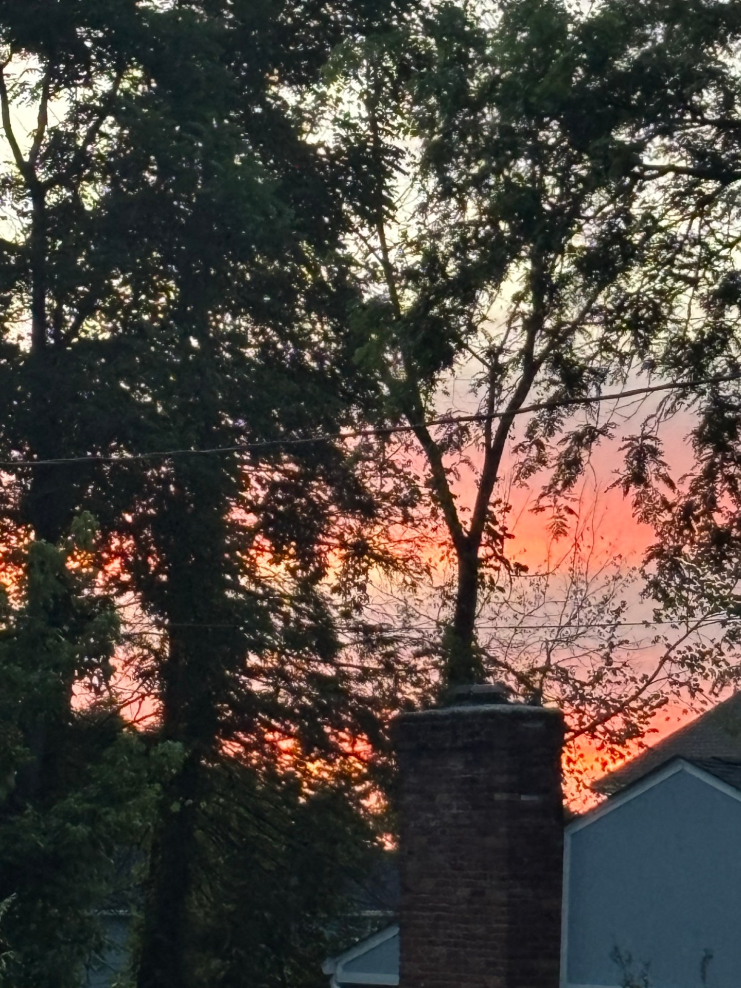 Alone moment with the nature. – Special Mom’s blog