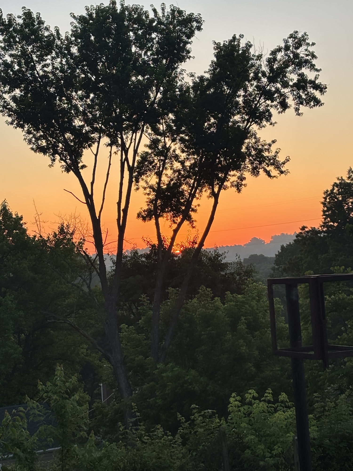 Alone moment with the nature. – Special Mom’s blog